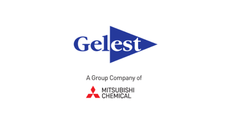 Gelest Names CEO | Happi