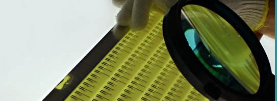 Bioscreen Welcomes New Sales Representative | Happi