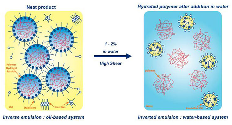 Formulating Simple, High-Performance Hair Care Products | Happi
