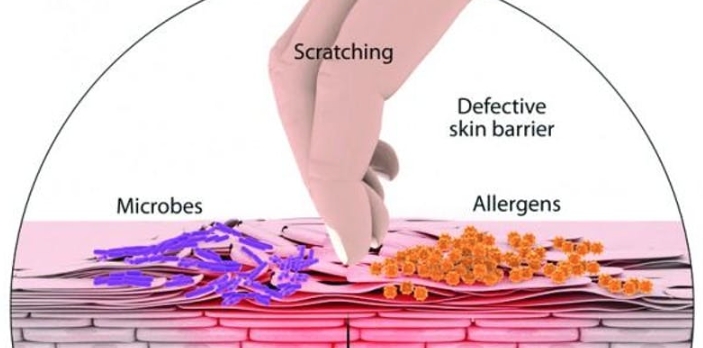 NYSCC Barrier Disruption Seminar Sponsored by Silab | Happi
