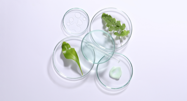 Meet the Innovative Partner Redefining Beauty Manufacturing | Happi