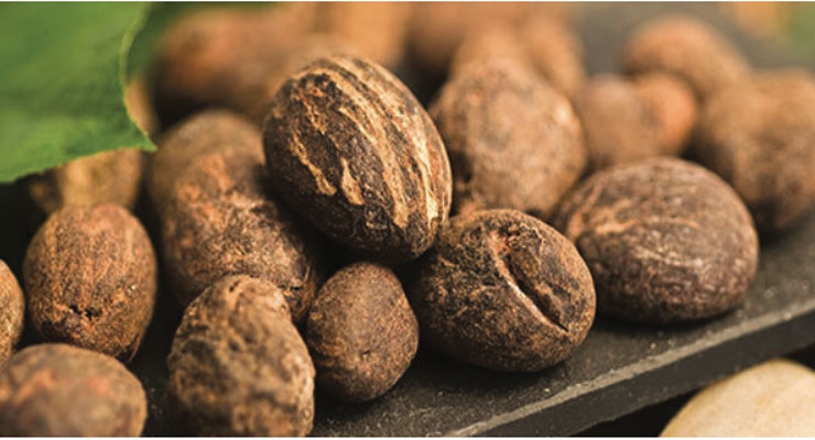 Sustainable Shea Textures as Natural Alternatives | Happi