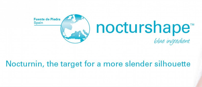 Lipotec Rolls Out Evening Ingredient | Happi