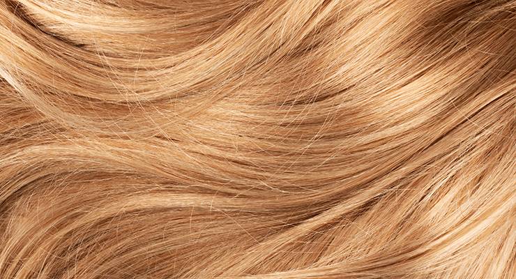 The Summer of Sister Golden Hair | Happi