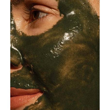 Primally Pure Launches Regenerative Hemp Skincare Line | Happi