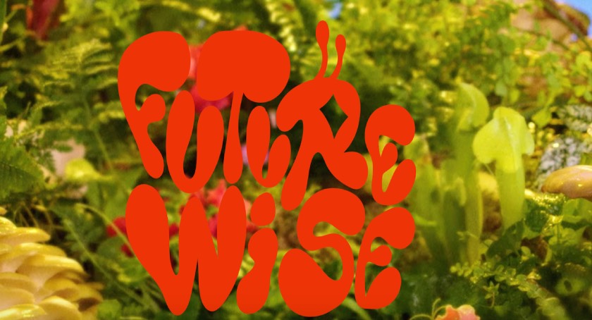 Futurewise Goes Out of Business | Happi